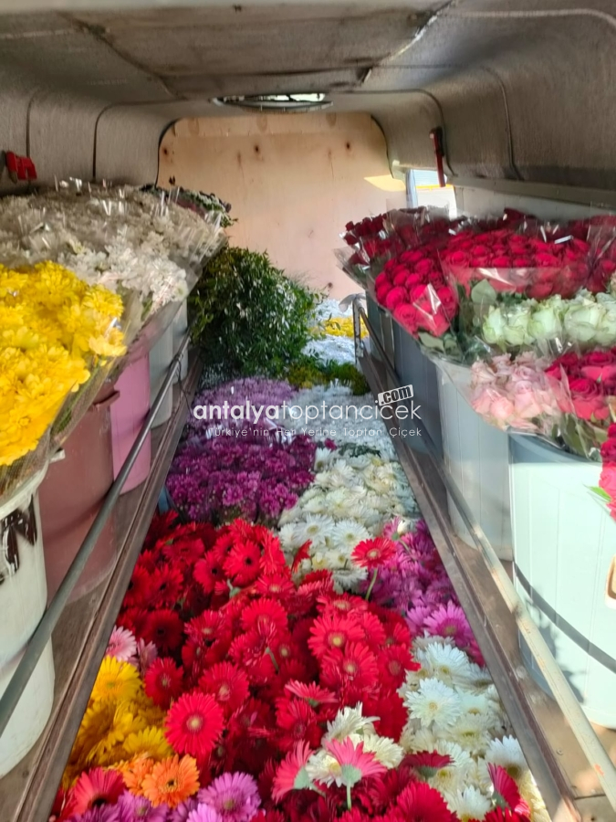 Hakkımızda | Antalya Toptan Çiçek